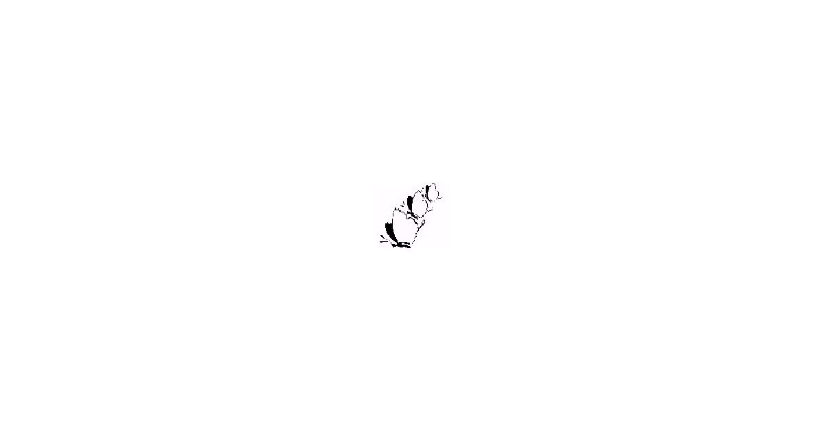 Afpral — Allergique.org